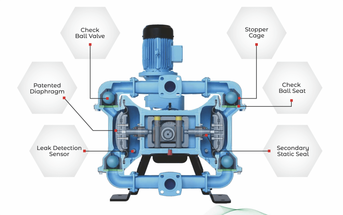 EODD Pumps | Cognito