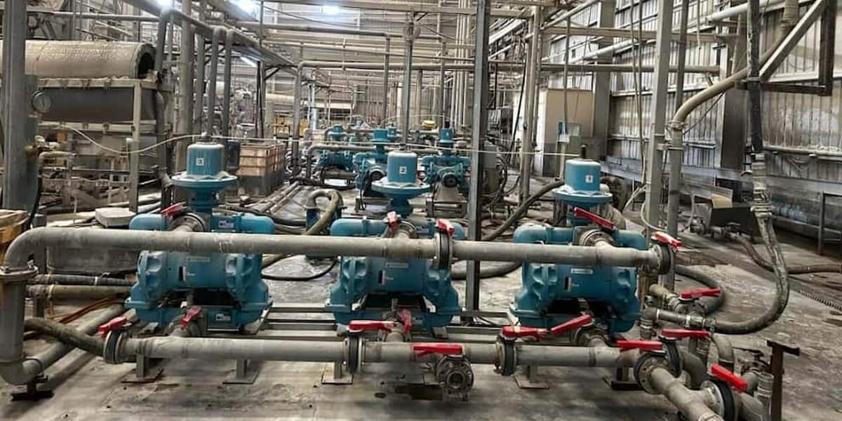 Cognito EODD the Best in Class Diaphragm Pump