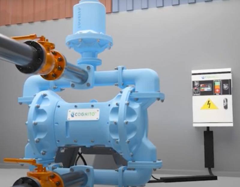 EODD Pumps | Cognito