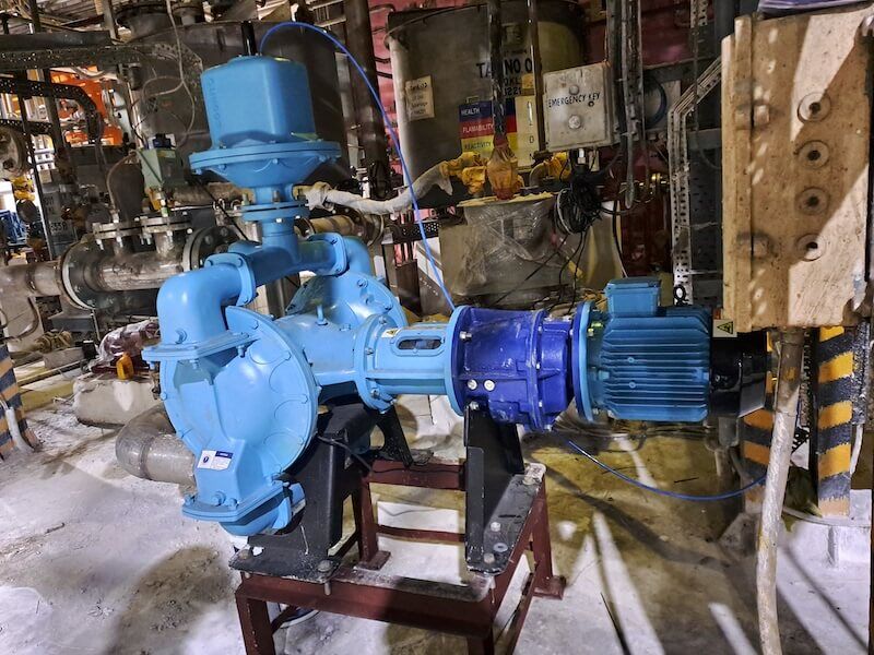 Paint Pumps | Cognito